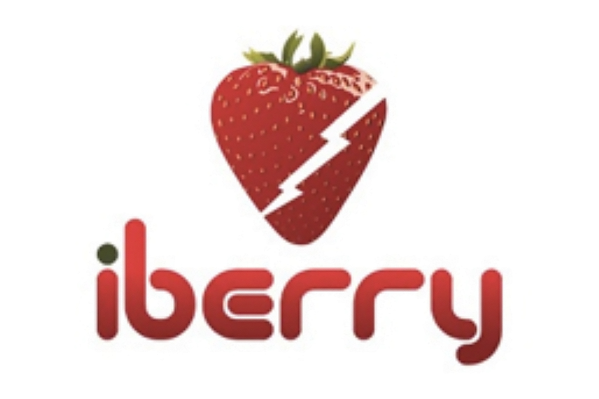 iBerry Mobile Phones: Latest & New Mobile Phones List 11th October 2025