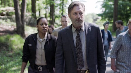The Sinner Season 2 Web Series (2019) | Release Date, Review, Cast ...
