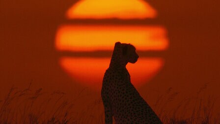 Our Universe TV Series (2022) | Release Date, Review, Cast, Trailer ...