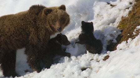 Our Universe TV Series (2022) | Release Date, Review, Cast, Trailer ...