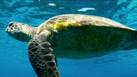 Our Universe TV Series (2022) | Release Date, Review, Cast, Trailer ...