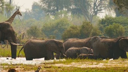 Our Universe TV Series (2022) | Release Date, Review, Cast, Trailer ...