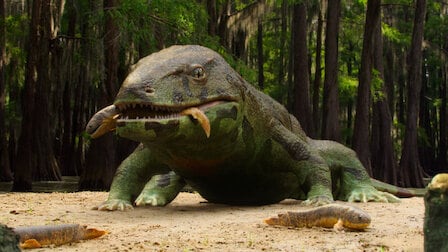 Life on Our Planet TV Series (2023) | Release Date, Review, Cast ...