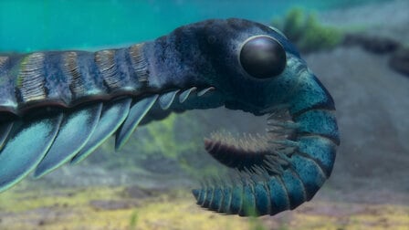 Life on Our Planet TV Series (2023) | Release Date, Review, Cast ...