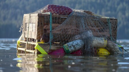 Outlast Season 2 TV Series (2024) | Release Date, Review, Cast, Trailer ...