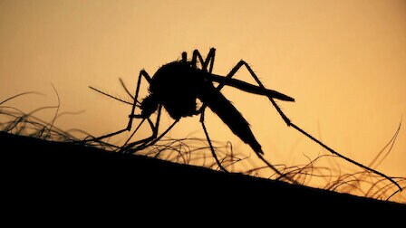 What's Next: The Future with Bill Gates TV Series (2024) | Release Date ...