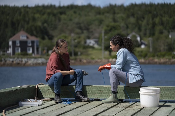 The Sinner Season 4 Web Series 2022 Release Date Review Cast