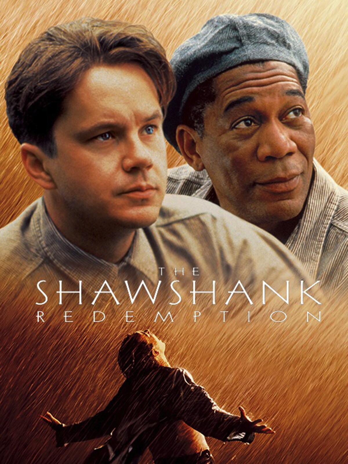 The Shawshank Redemption Movie 1994 Release Date Review Cast The Shawshank Redemption Movie 1994 Release Date Review Cast