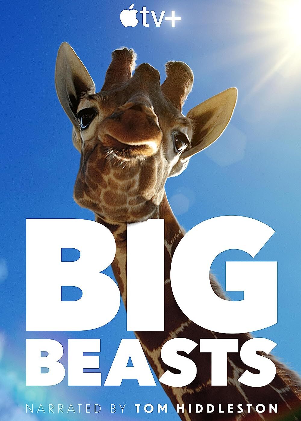 Big Beasts TV Series (2023) | Release Date, Review, Cast, Trailer, Watch Online at Apple TV+ ...
