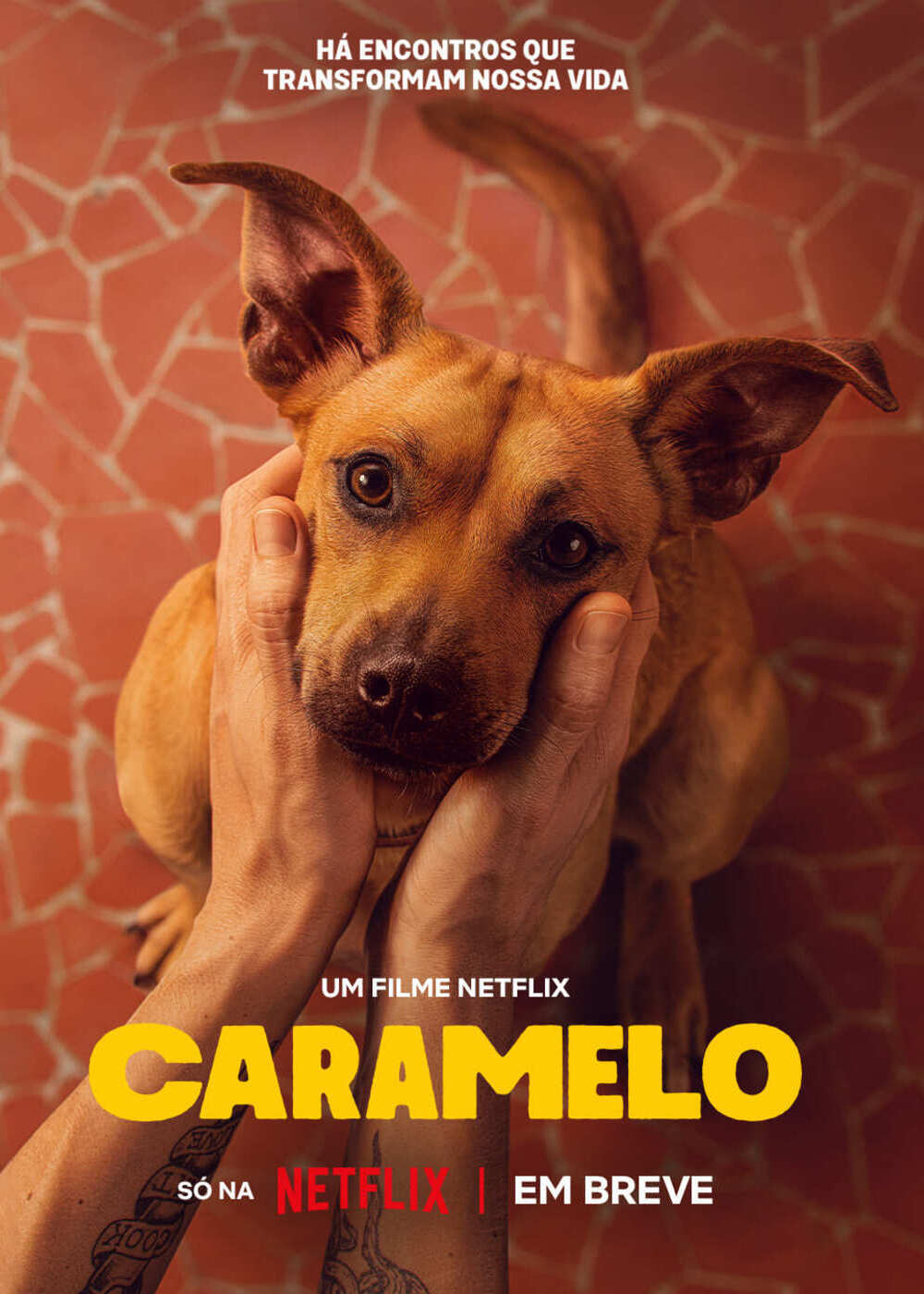 Caramelo Movie (2025) | Release Date, Review, Cast, Trailer, Watch Online at Netflix - Gadgets 360